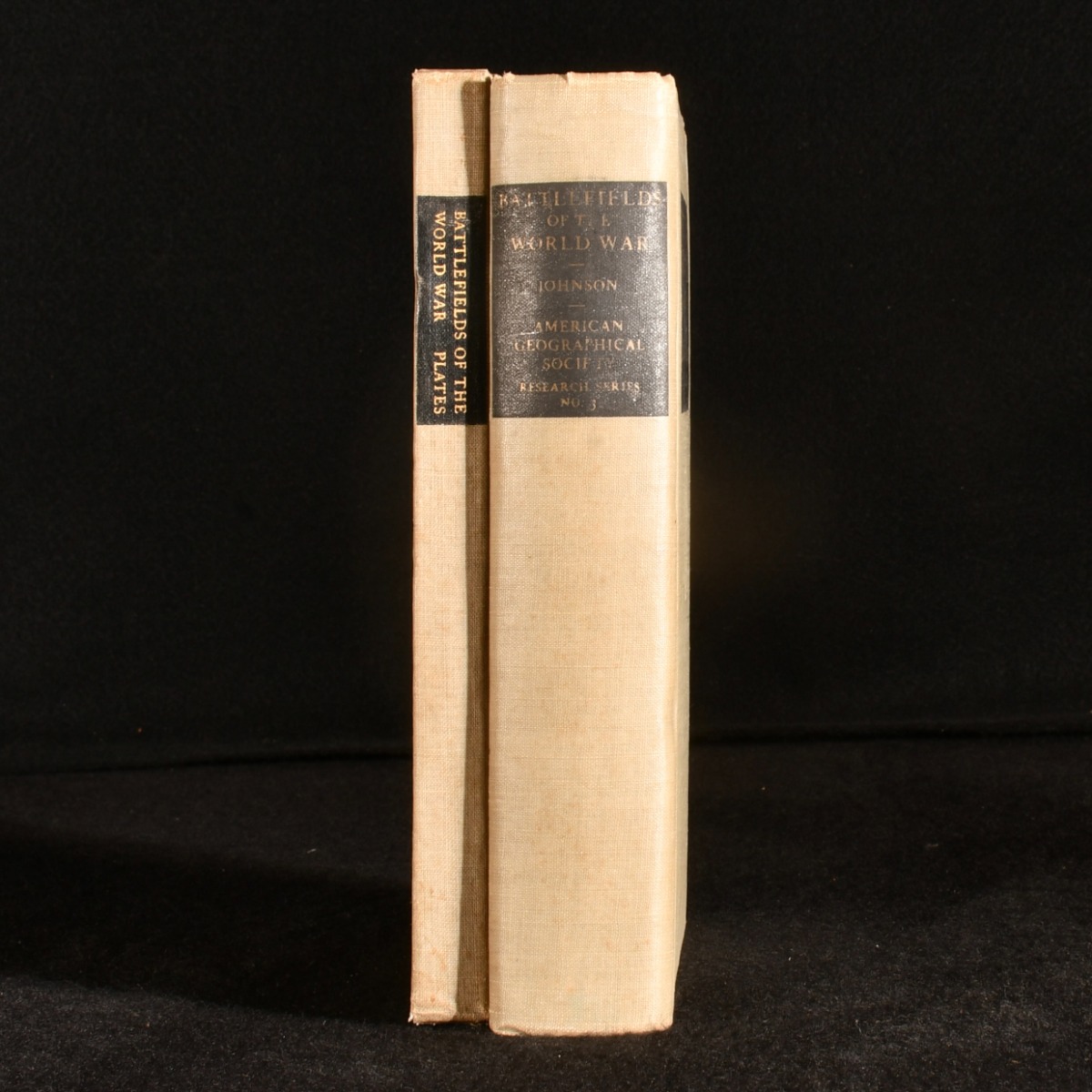 Battlefields of the World War Western and Southern Fronts A Study in ...