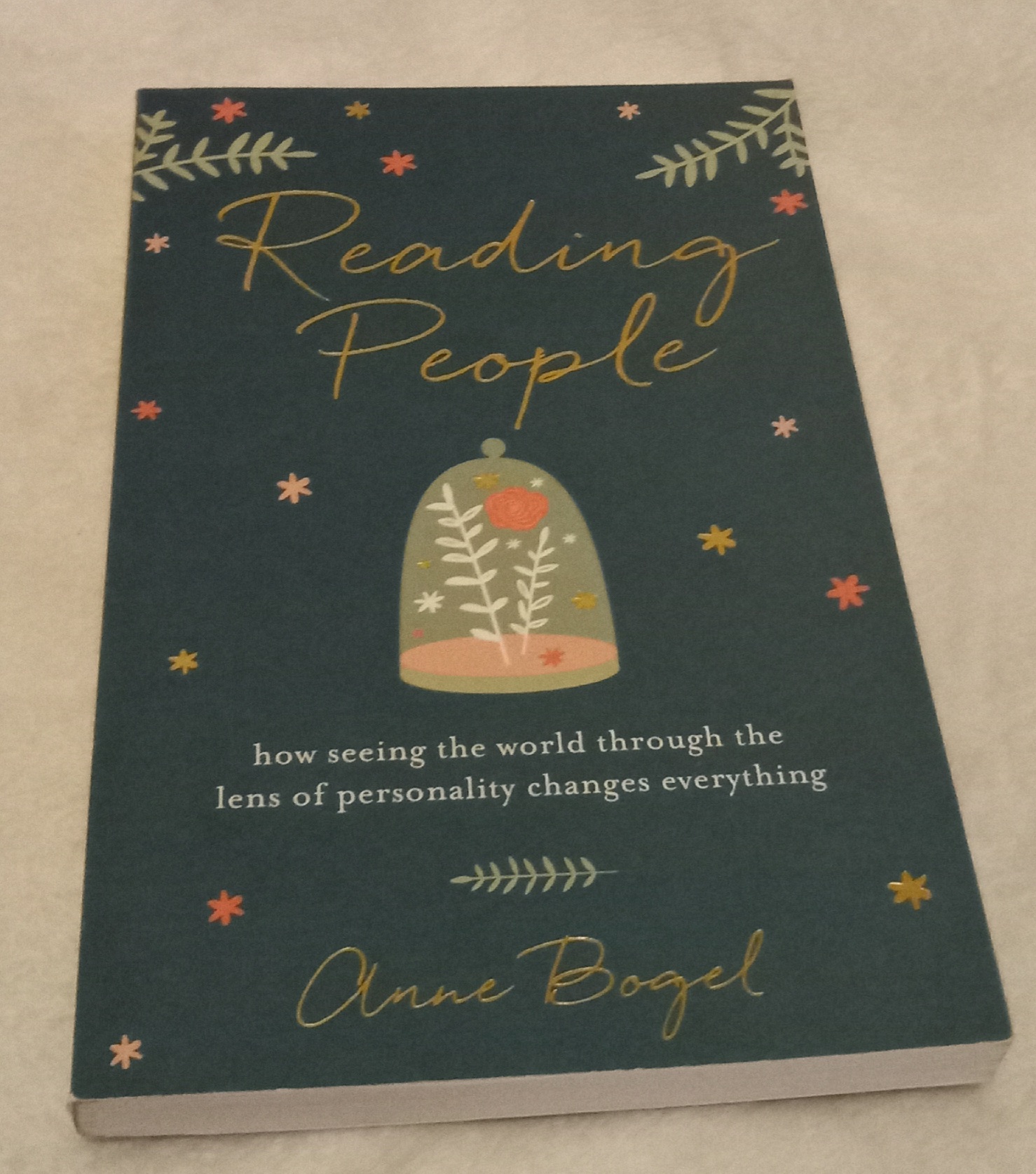 Reading People: How Seeing the World through the Lens of Personality ...