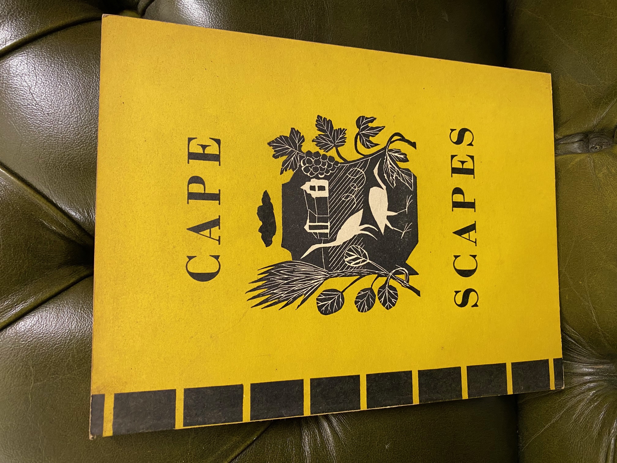 Cape Scapes by Rupert Shephard: Very Good Soft cover (1954) 1st Edition ...