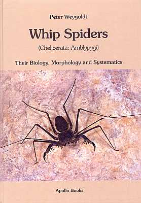Whip Spiders (Chelicerata: Amblypygi). Their Biology, Morphology and ...