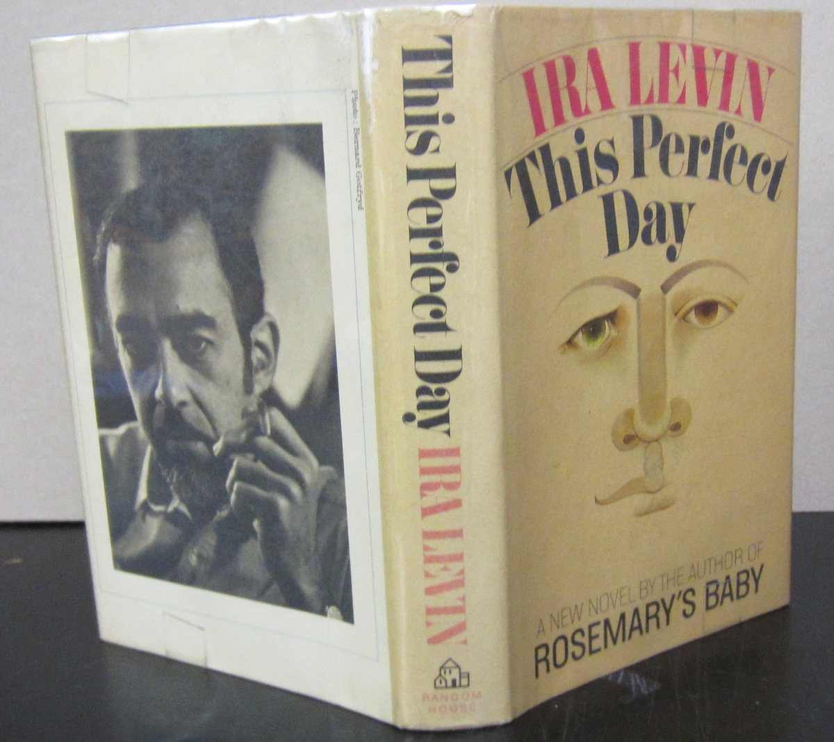 This Perfect Day by Levin, Ira: Hardcover (1970) First printing ...
