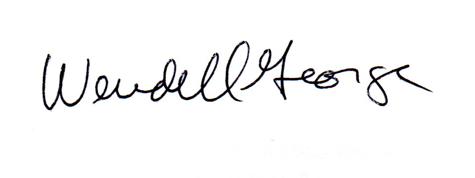 Last Chief Standing: A Tale of Two Cultures by George, Wendell: Good ...