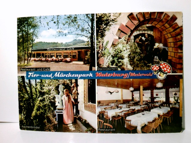 Westerburg / Westerwald. Tier und Märchenpark. Alte Ansichtskarte ...