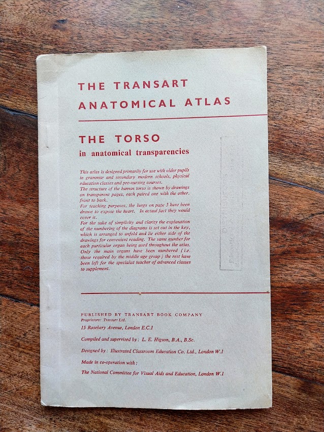 Transart Anatomical Atlas: The Torso In Anatomical Transparencies by L ...