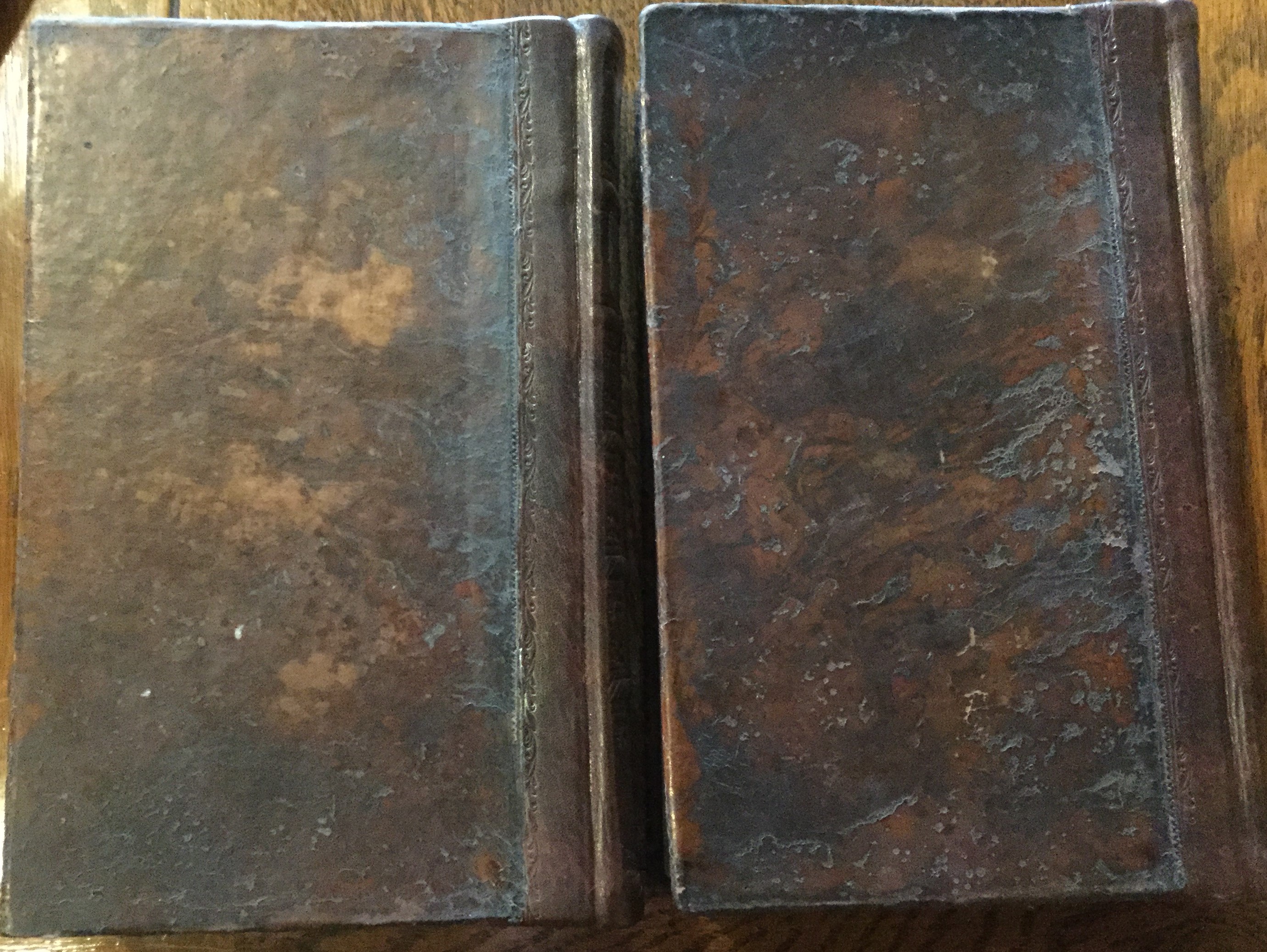 A Dictionary of the English Language (2 volumes) by Johnson, Samuel ...