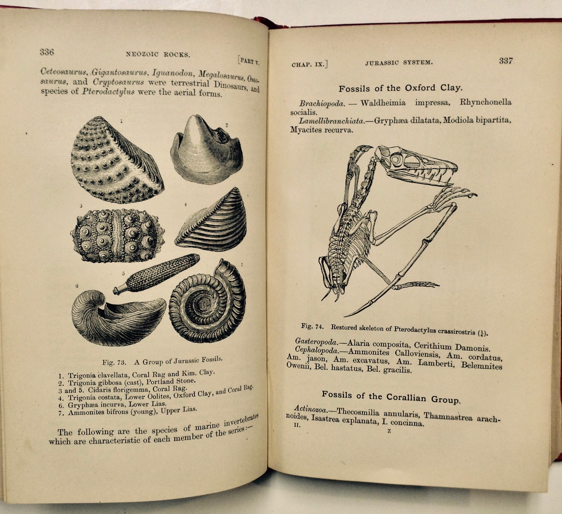 THREE VINTAGE BRITISH GEOLOGY BOOKS FROM THE VICTORIAN ERA IN ORIGINAL ...