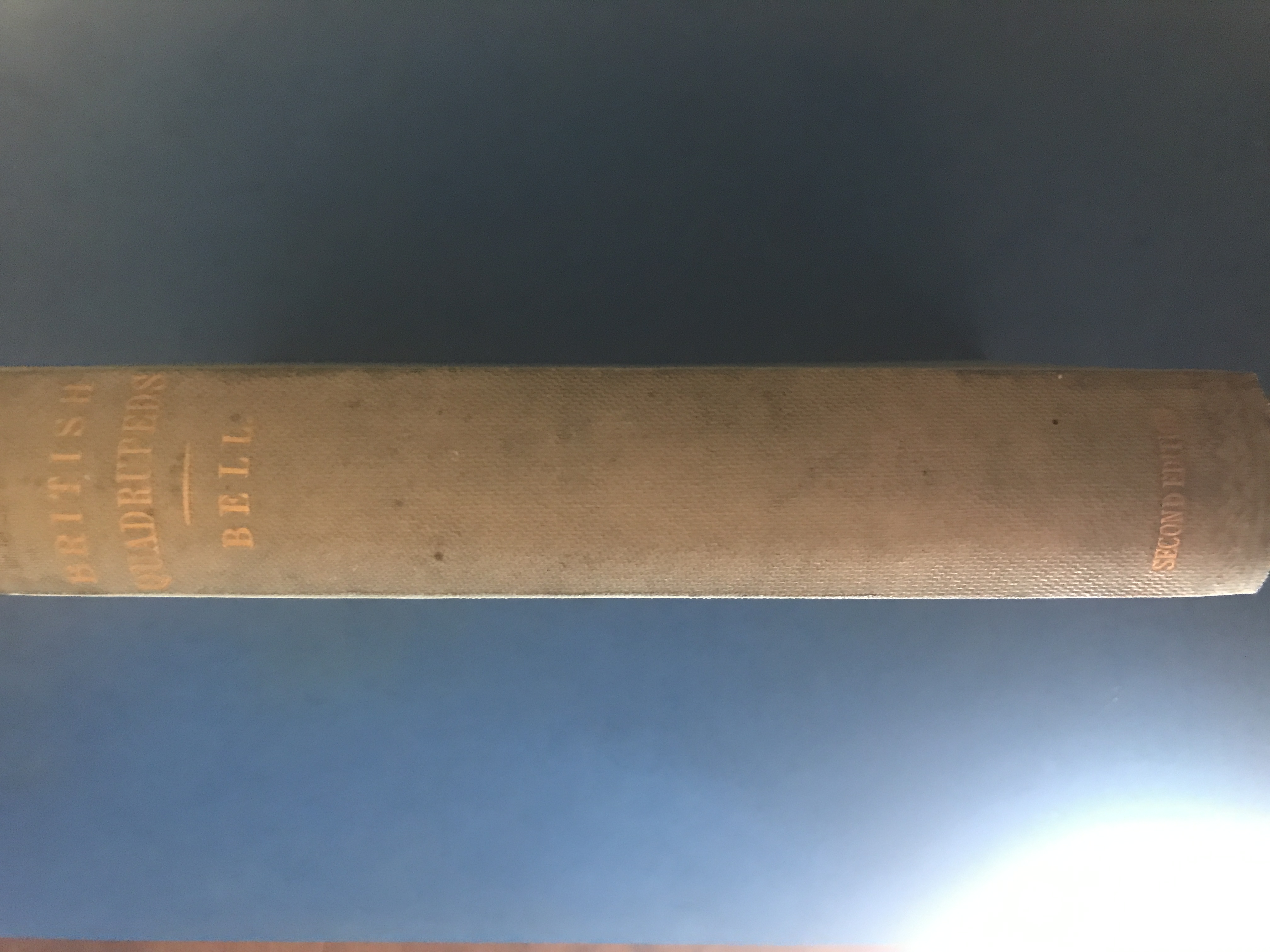 A HISTORY OF BRITISH QUADRUPEDS IN CLUDING THE CETACEA by BELL, THOMAS ...