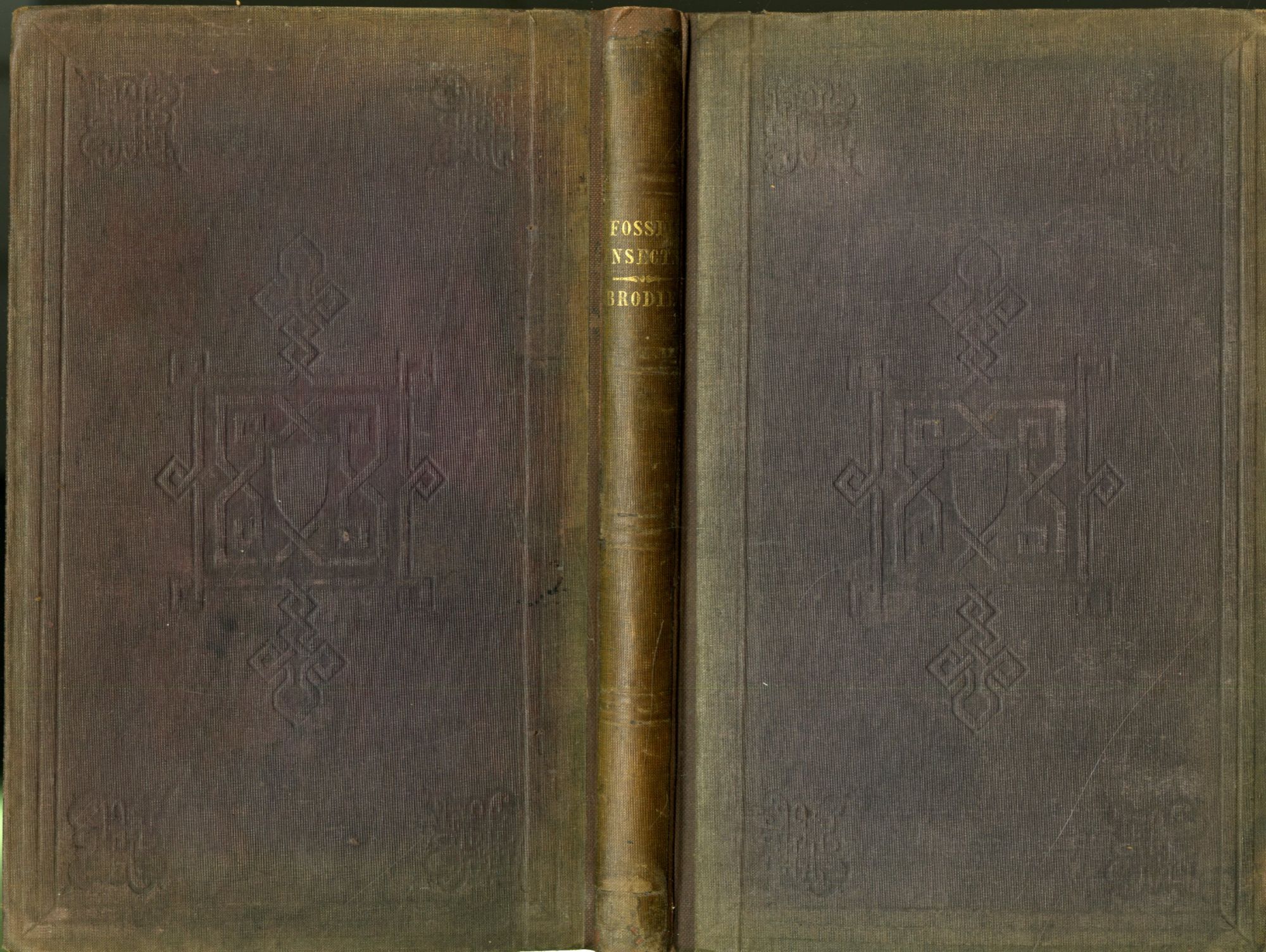 A History of the Fossil Insects in the Secondary Rocks of England by ...