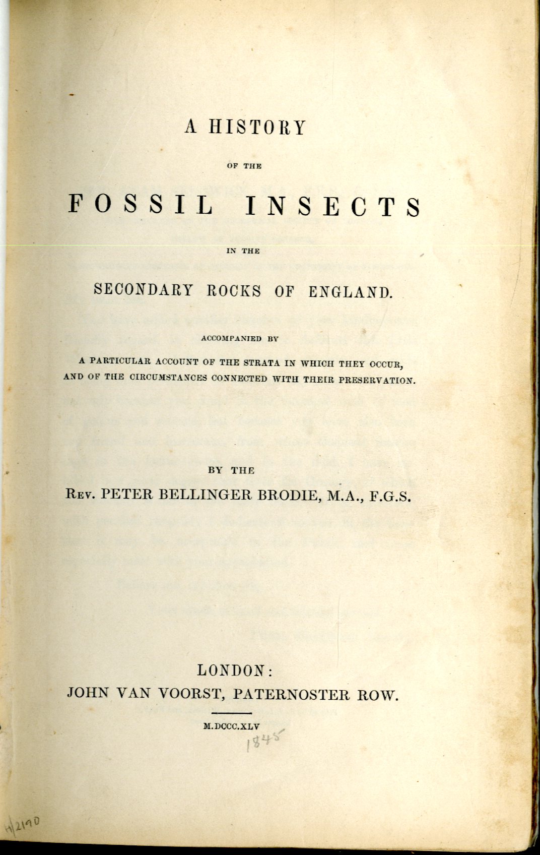 A History of the Fossil Insects in the Secondary Rocks of England by ...