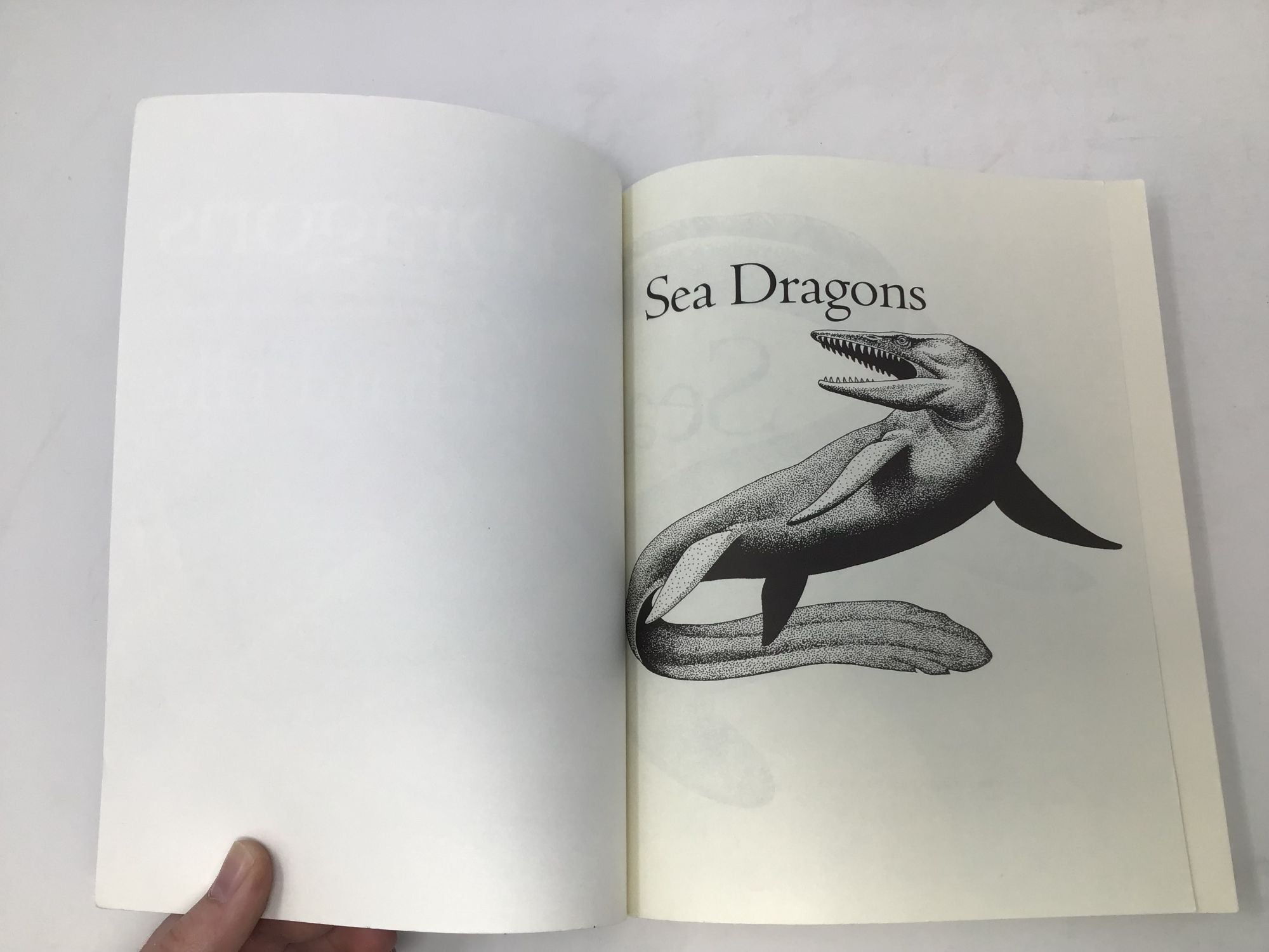 Sea Dragons: Predators of the Prehistoric Oceans by Ellis, Richard ...