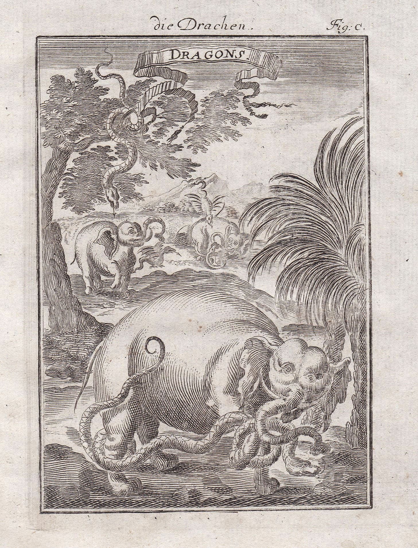 "Dragons" - Elephants snakes Elefant Schlangen elephant von Mallet ...