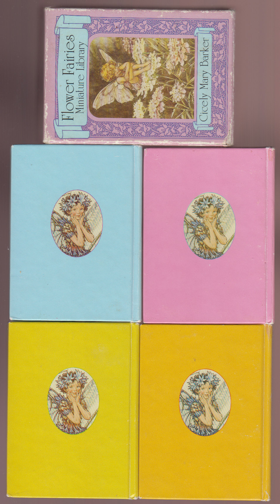 Flower Fairies Miniature Library by Barker, Cicely Mary: Fine Hardcover ...