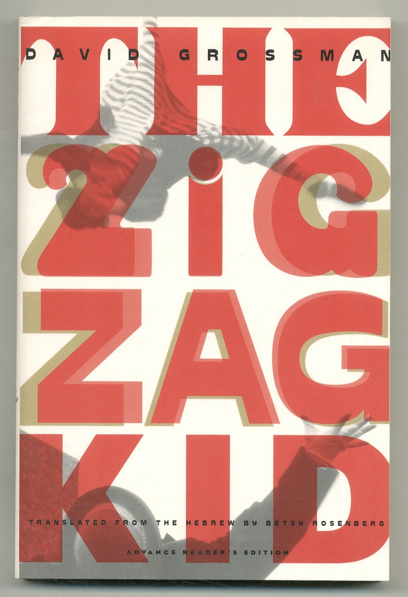 The Zigzag Kid by GROSSMAN, David: Fine Softcover (1997) | Between the Covers-Rare Books, Inc. ABAA