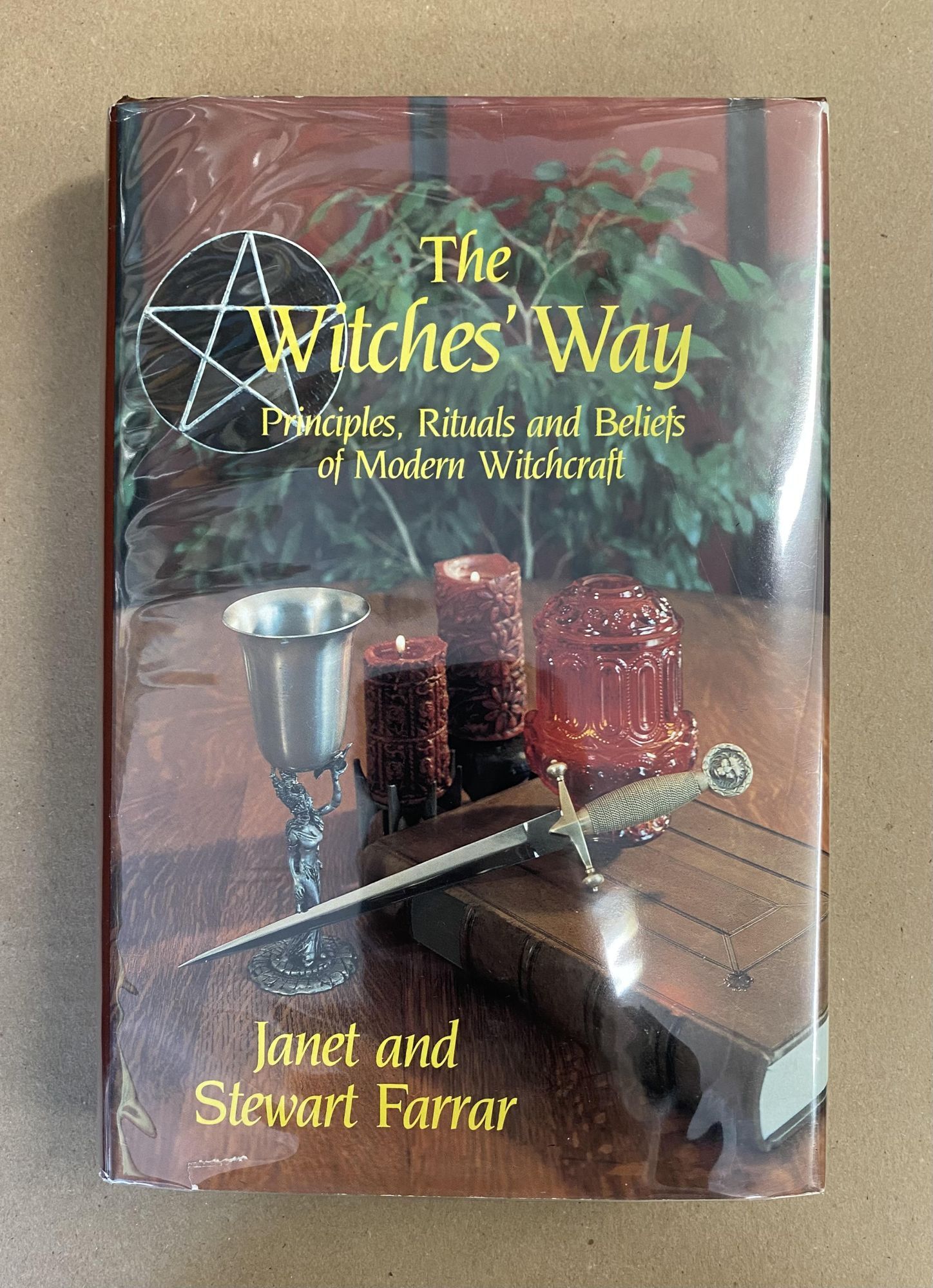 The Witches' Way: Principles, Rituals and Beliefs of Modern Witchcraft ...