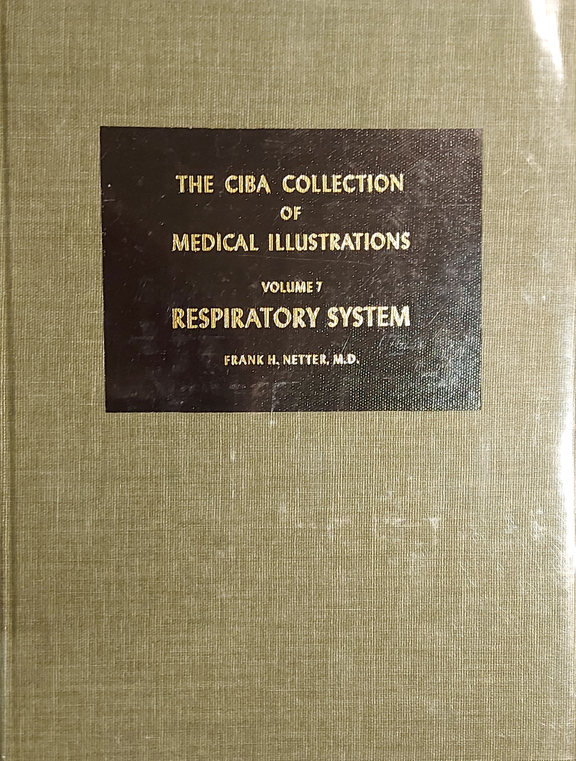 The Ciba Collection Of Medical Illustrations - Vol.7, Respiratory ...
