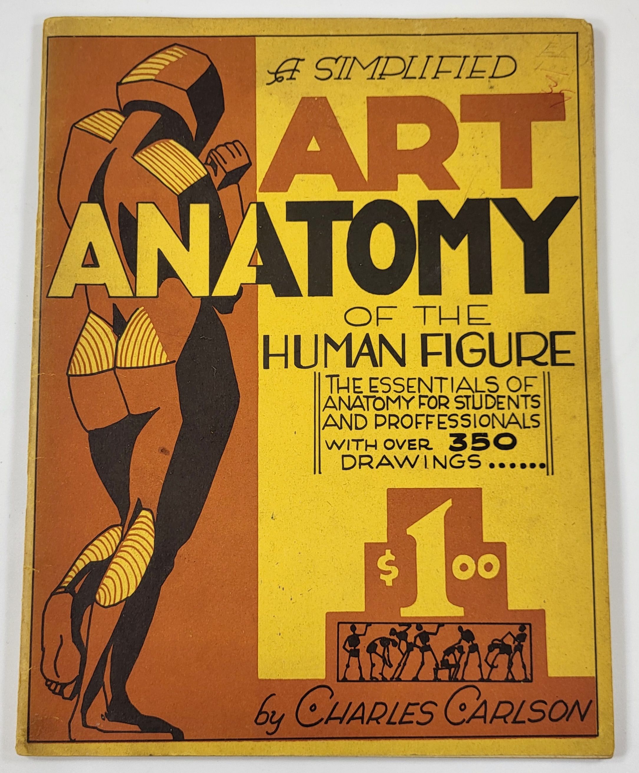 A Simplified Art Anatomy of the Human Figure. The Essentials of Anatomy ...