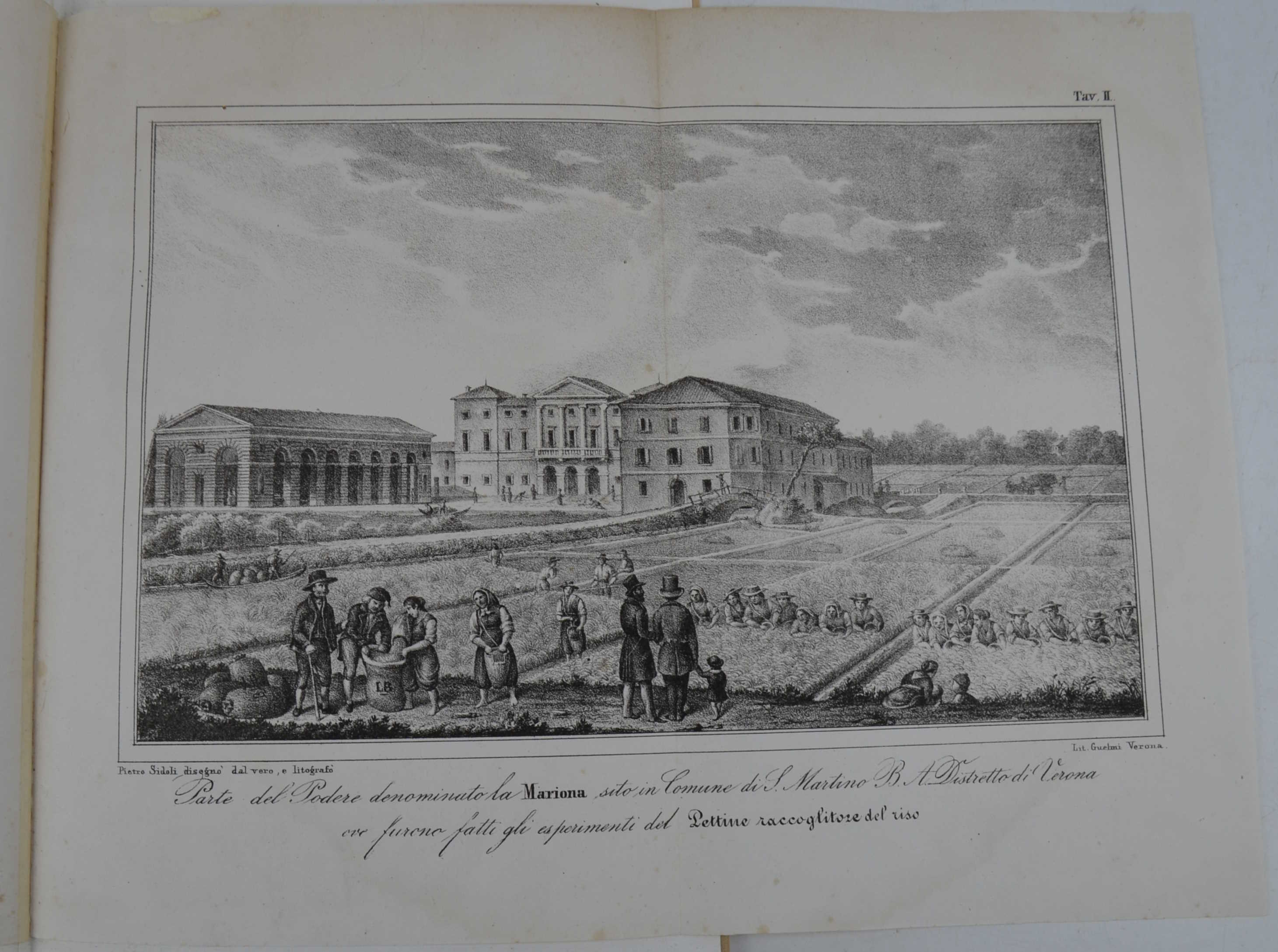 Il pettine raccoglitore del riso. Cenni con tavole& intorno al metodo ...