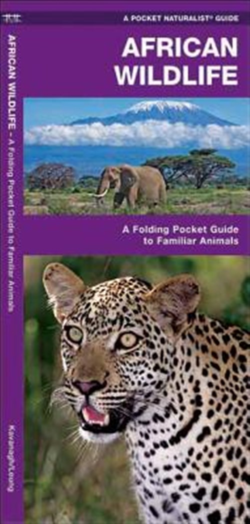 Africa Wildlife : A Folding Pocket Guide to Familiar Animals by ...