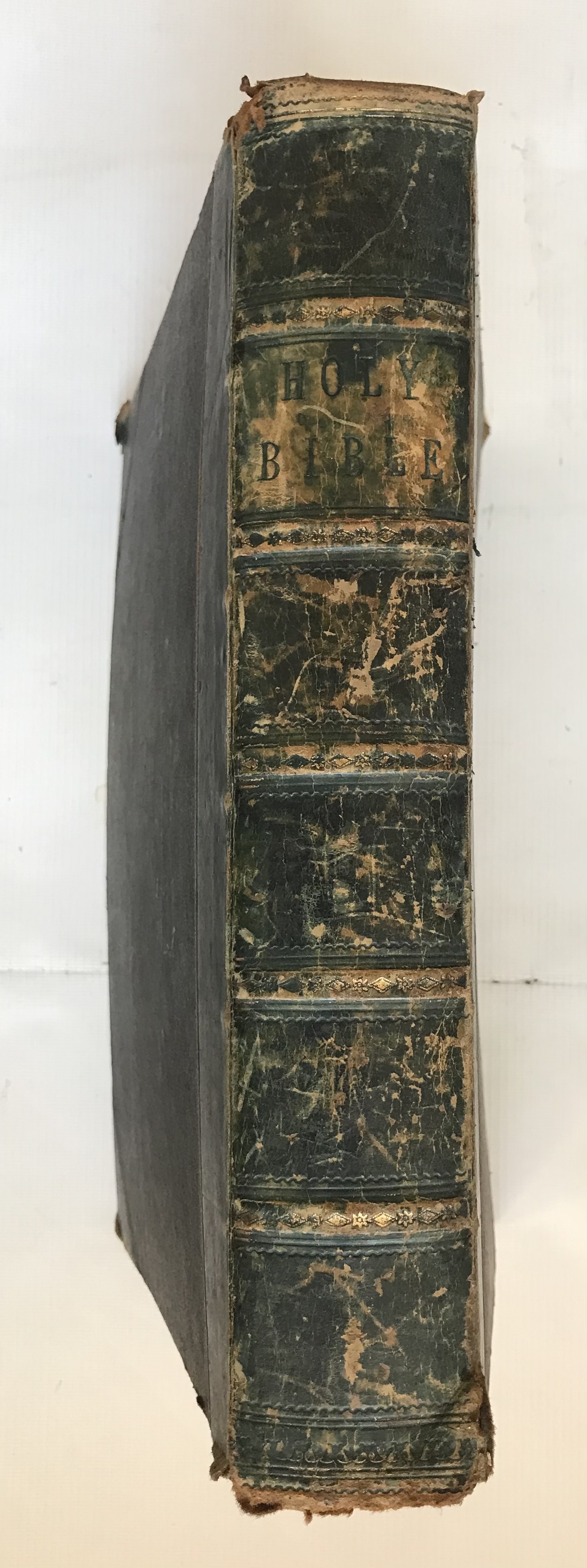 The Illustrated Family Bible with the Self-Interpreting and Explanatory ...