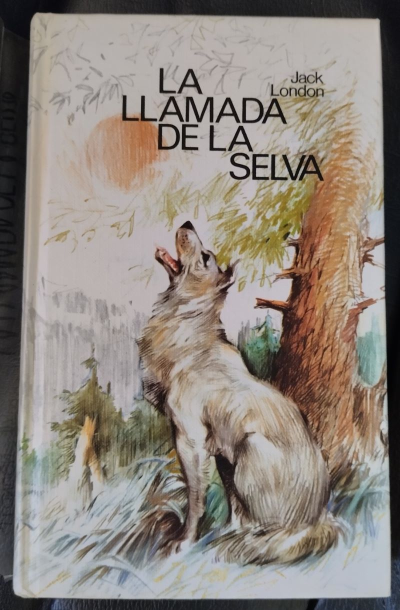 La llamada de la selva de Jack London. Ilustraciones de Ballestar: Buen estado. Tapa dura. (1971 ...