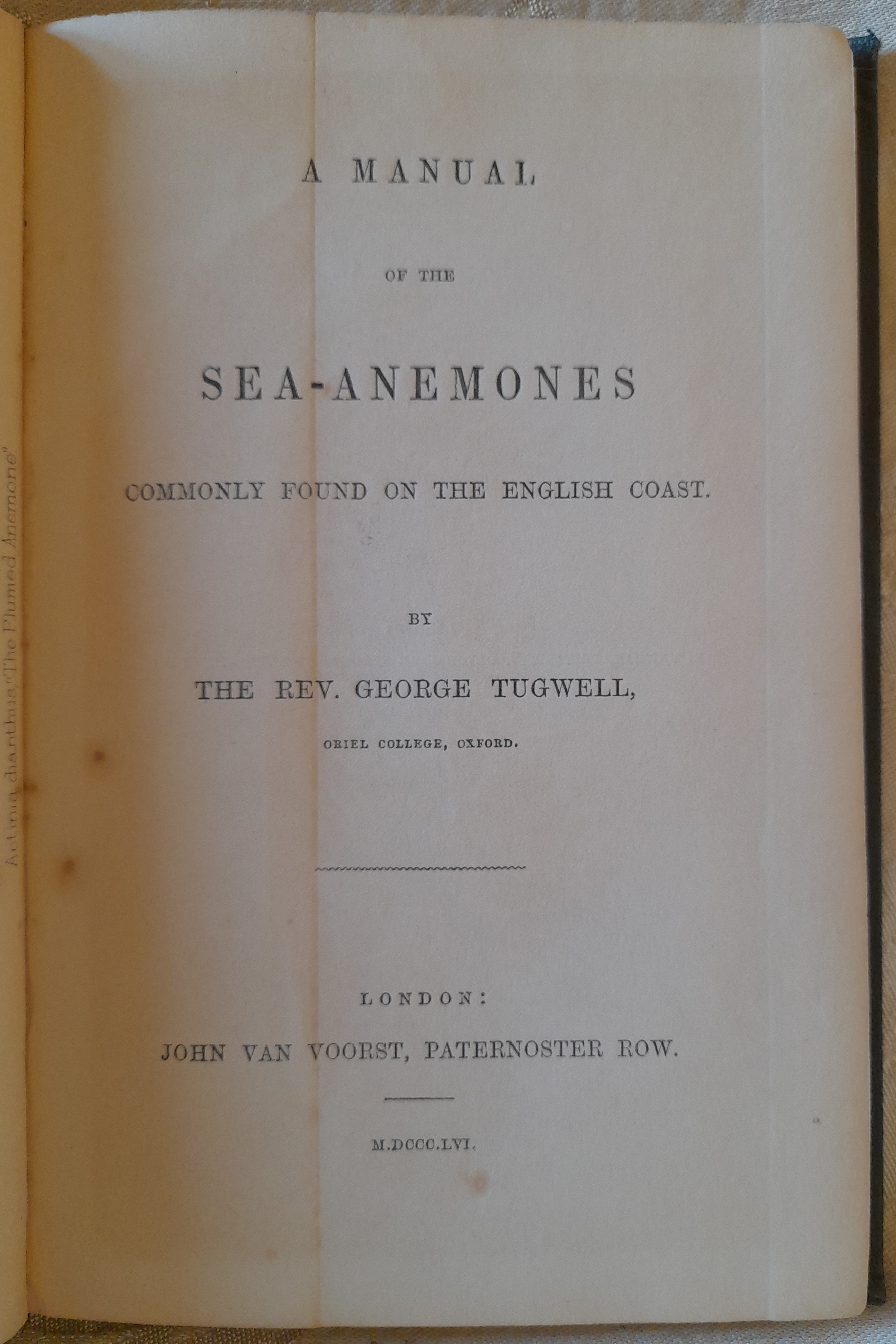 A Manual of the Sea-Anemones Commonly Found on the English Coast by The ...