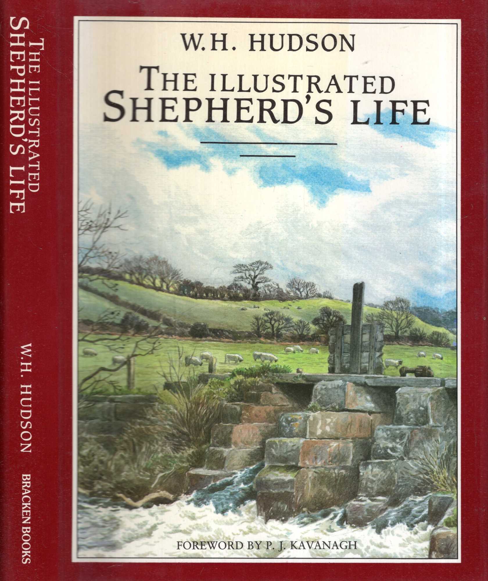 The Illustrated Shepherd's Life by Hudson, W H: Good hardback (1993 ...