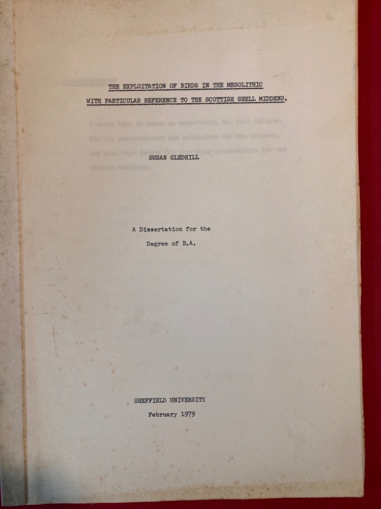 The Exploitation of Birds in the Metolithic with Particular Reference ...