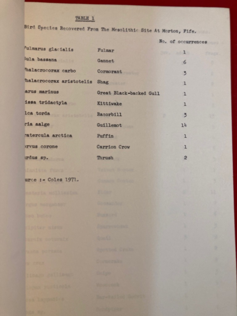 The Exploitation of Birds in the Metolithic with Particular Reference ...
