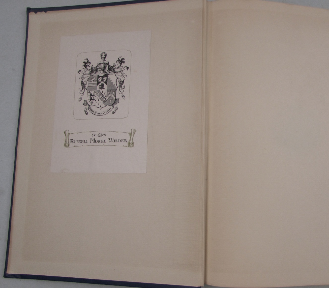 Leonardo Da Vinci, the Anatomist 1452-1519 by McMurrich, James Playfair ...