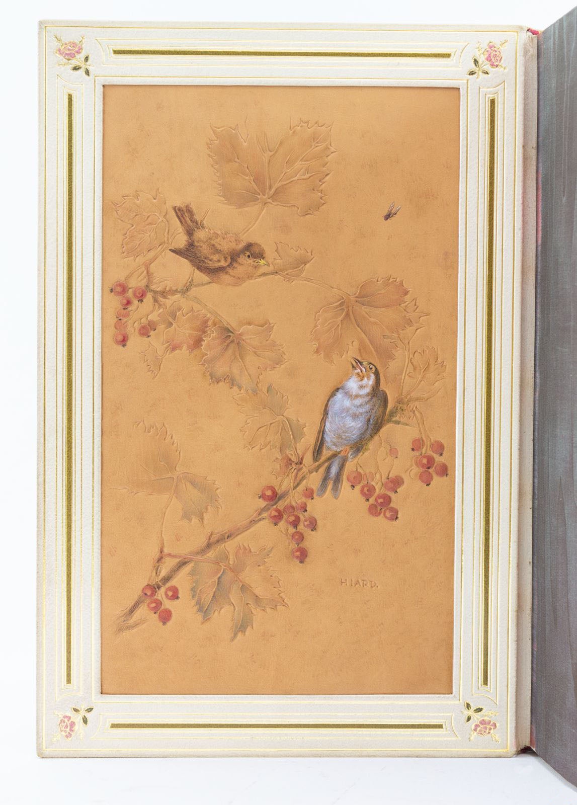 HISTOIRE D'UN MERLE BLANC. [STORY OF A WHITE BLACKBIRD] by (BINDINGS ...