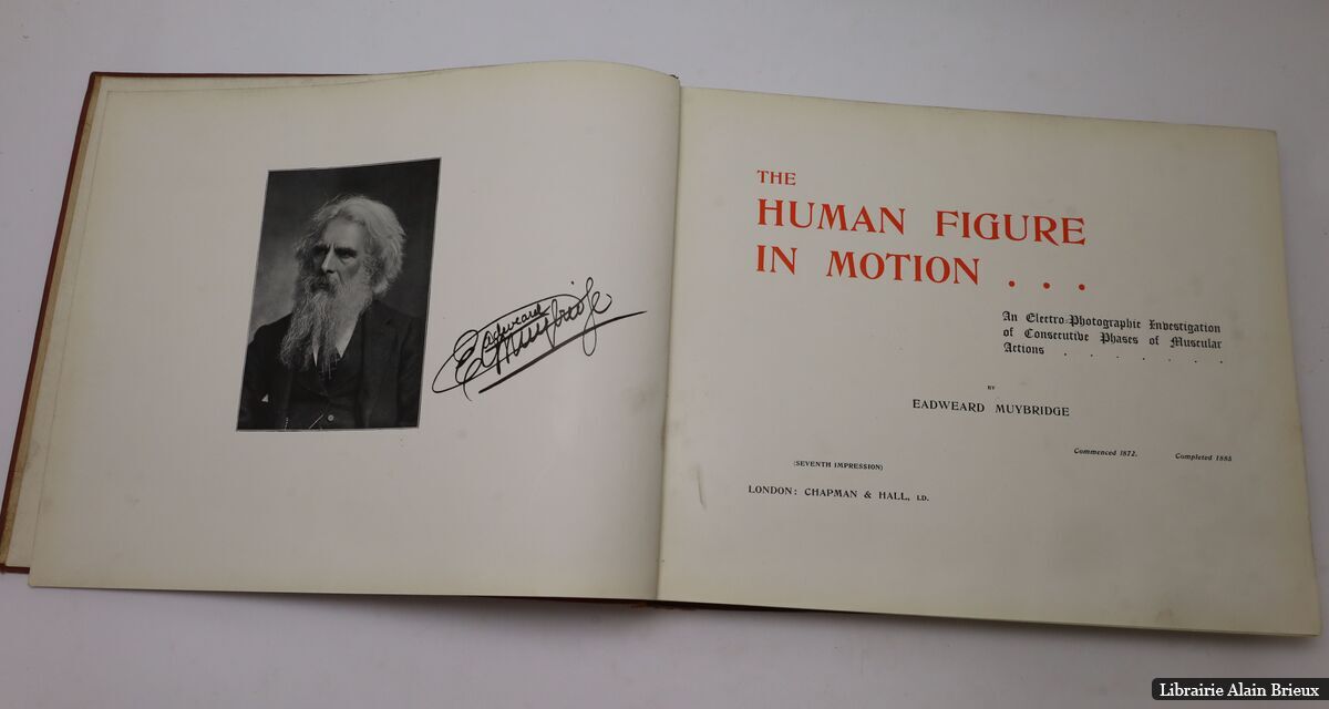 The Human Figure in Motion von MUYBRIDGE, Eadweard: Bon Couverture ...