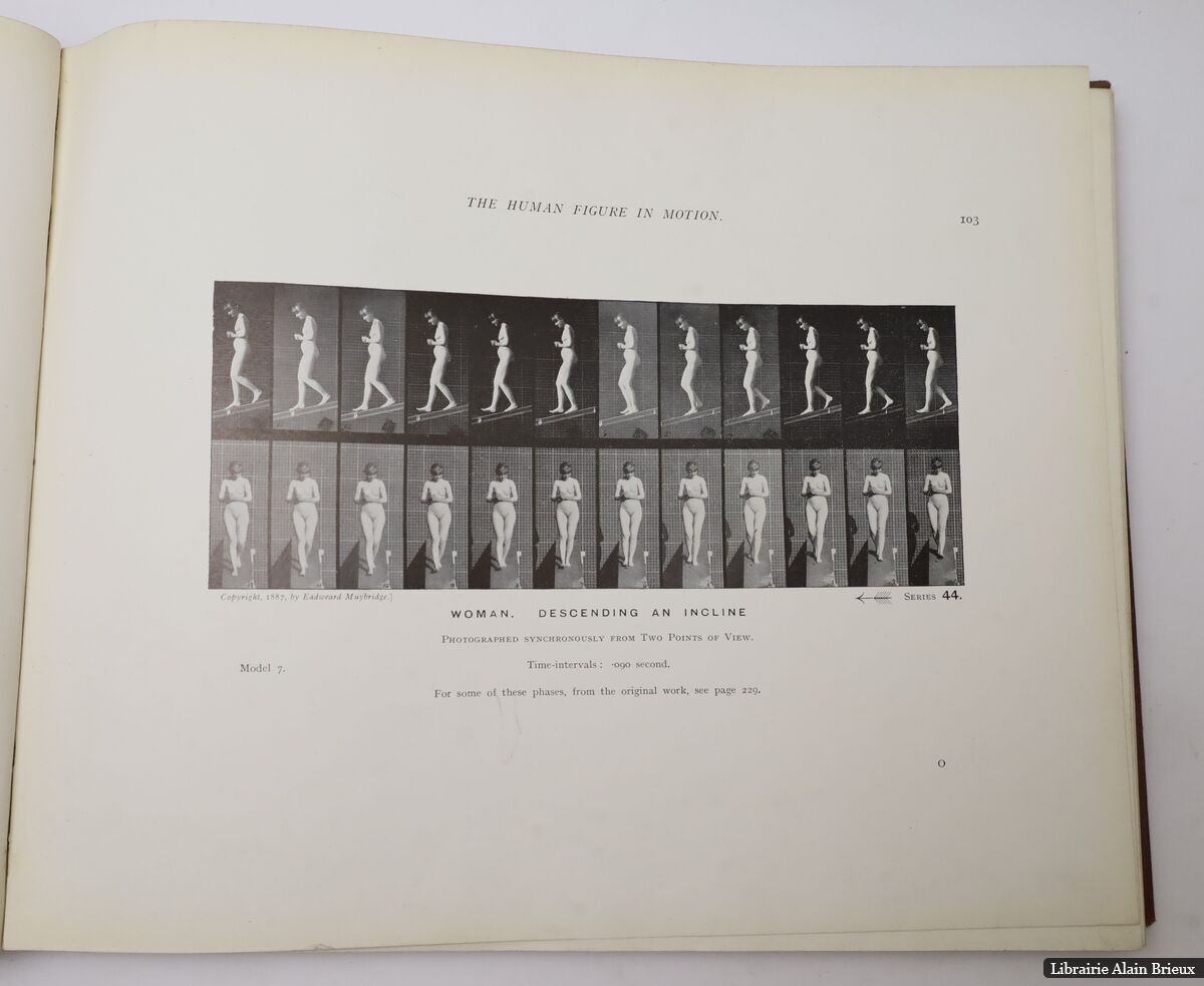 The Human Figure in Motion von MUYBRIDGE, Eadweard: Bon Couverture ...