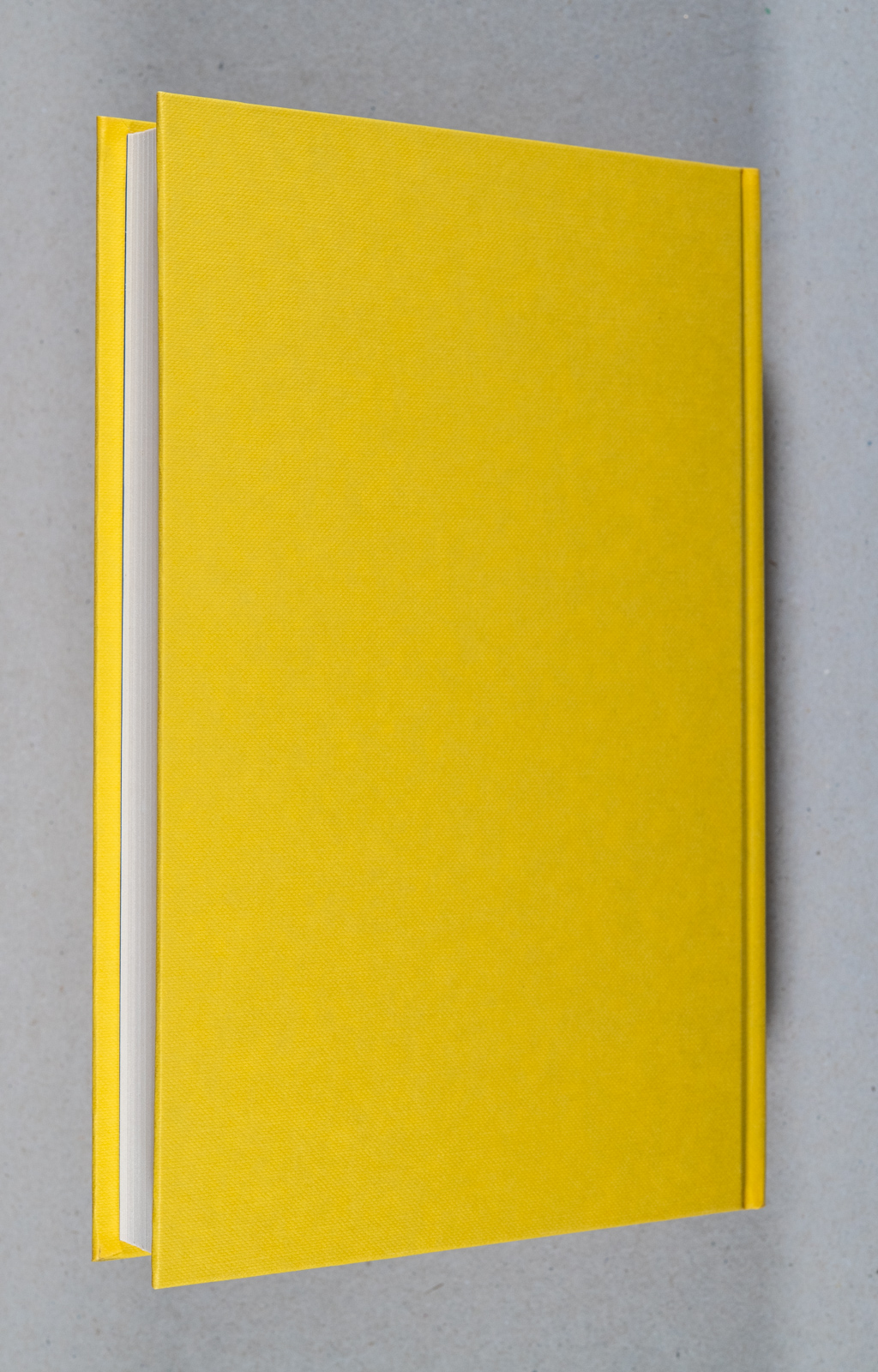 The Interpreter by Robinson, Brooke: Fine Hardcover (2023) First UK ...