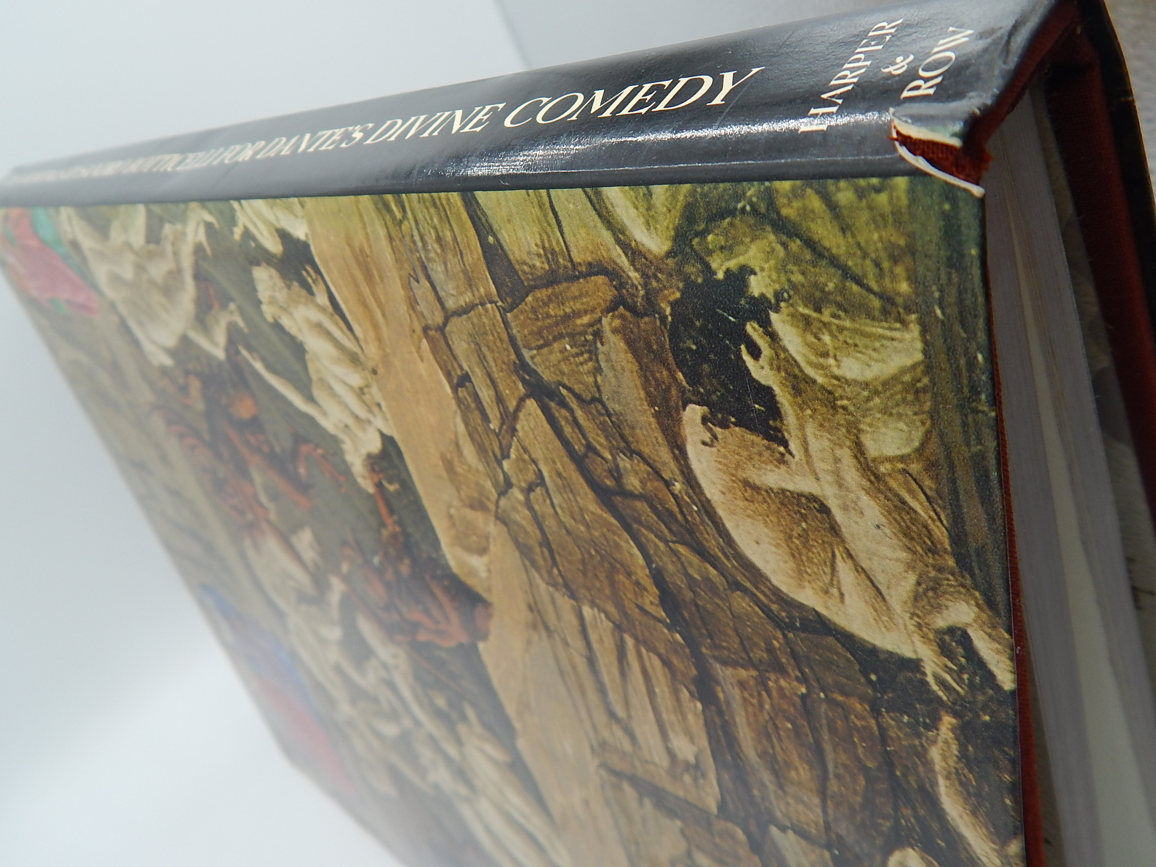 The Drawings by Sandro Botticelli for Dante's Divine Comedy by Clark ...