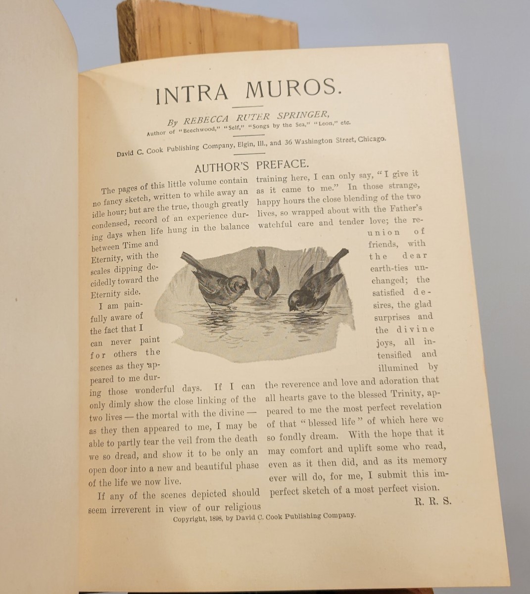 Intra Muros or Within the Walls My Dreams of Heaven by Springer ...