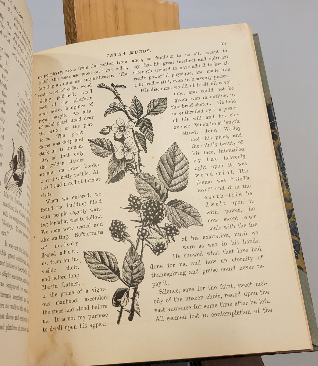 Intra Muros or Within the Walls My Dreams of Heaven by Springer ...