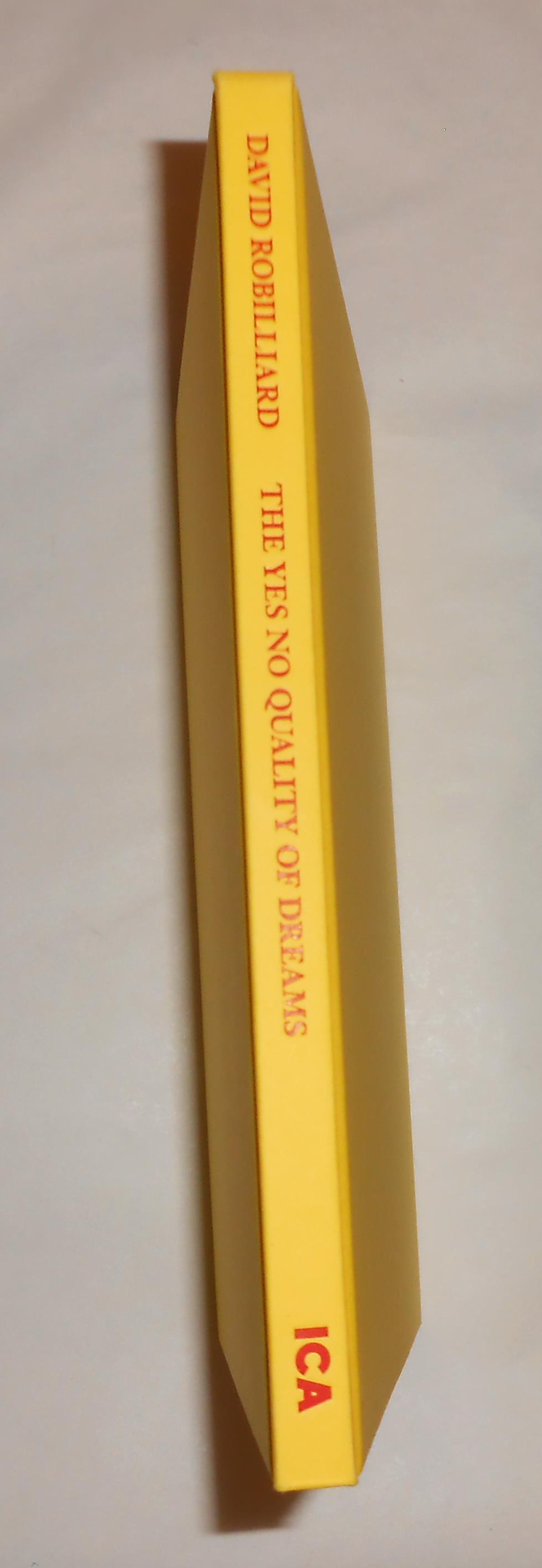 David Robilliard - the Yes No Quality of Dreams (ICA / Institute of ...