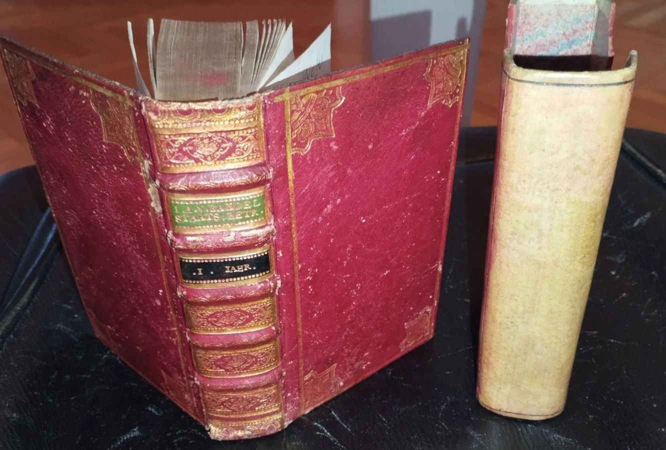 Der stumme Advocat oder Josephs Antoni von Bandel Vertheidigung der ...