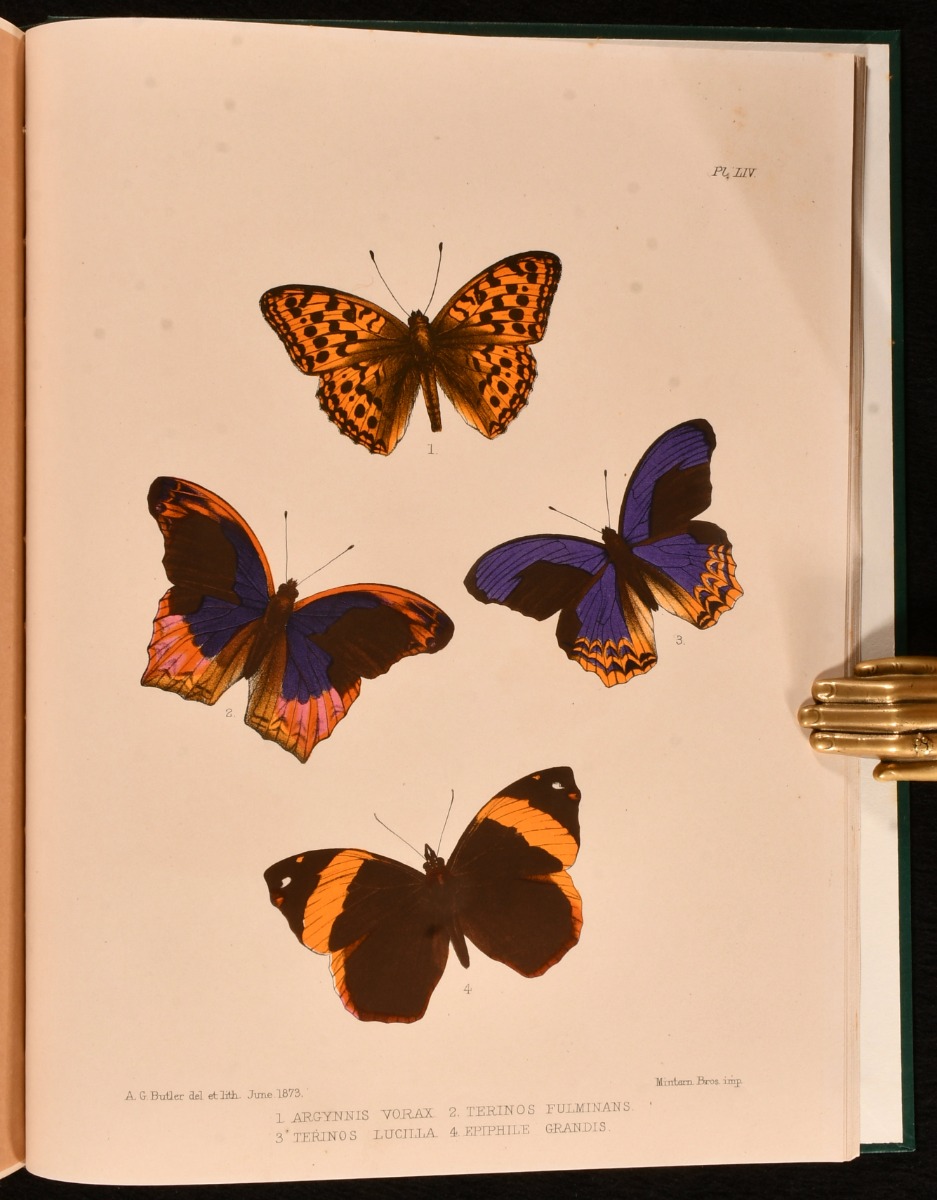 Lepidoptera Exotica, or Descriptions and Illustrations of Exotic ...