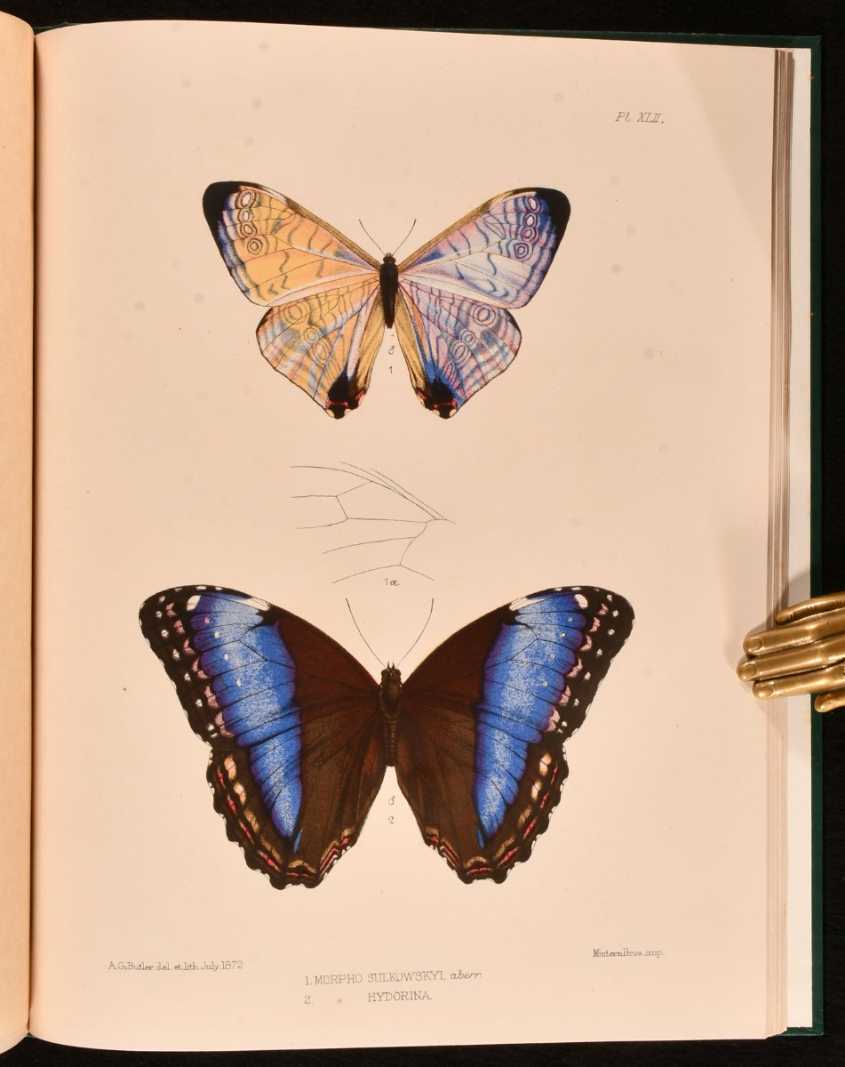 Lepidoptera Exotica, or Descriptions and Illustrations of Exotic ...