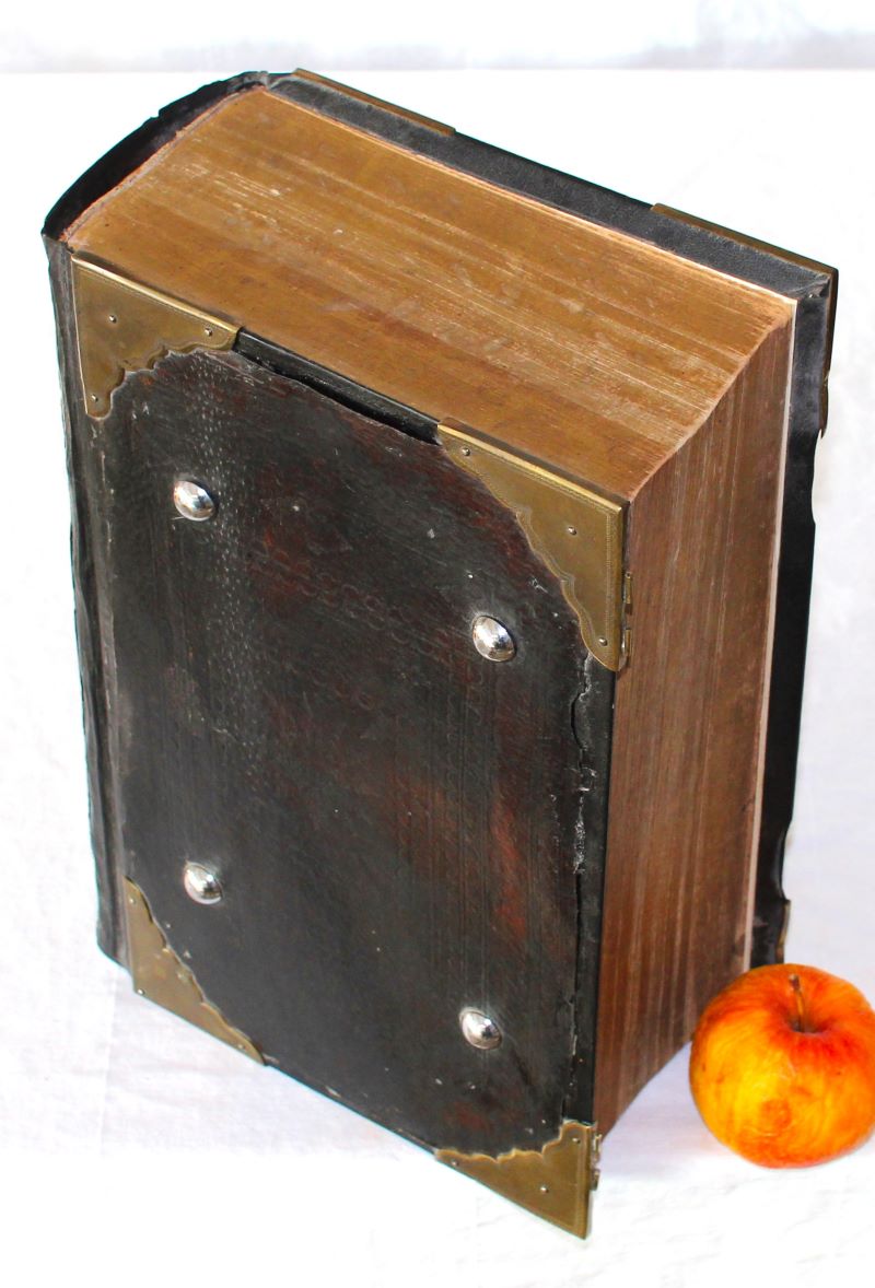 Das ist die gantze Heilige Schrifft Altes und Neues Testaments, durch D ...