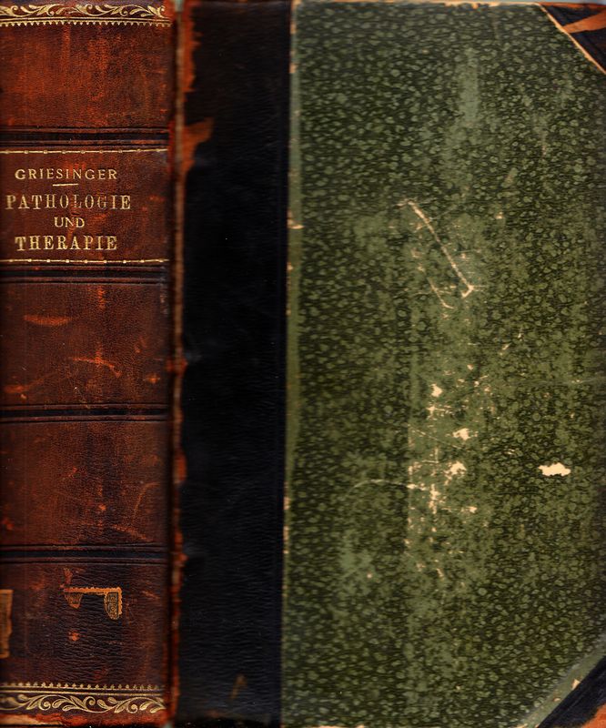 Pathologie und Therapie der psychischen Krankheiten für Ärzte und ...