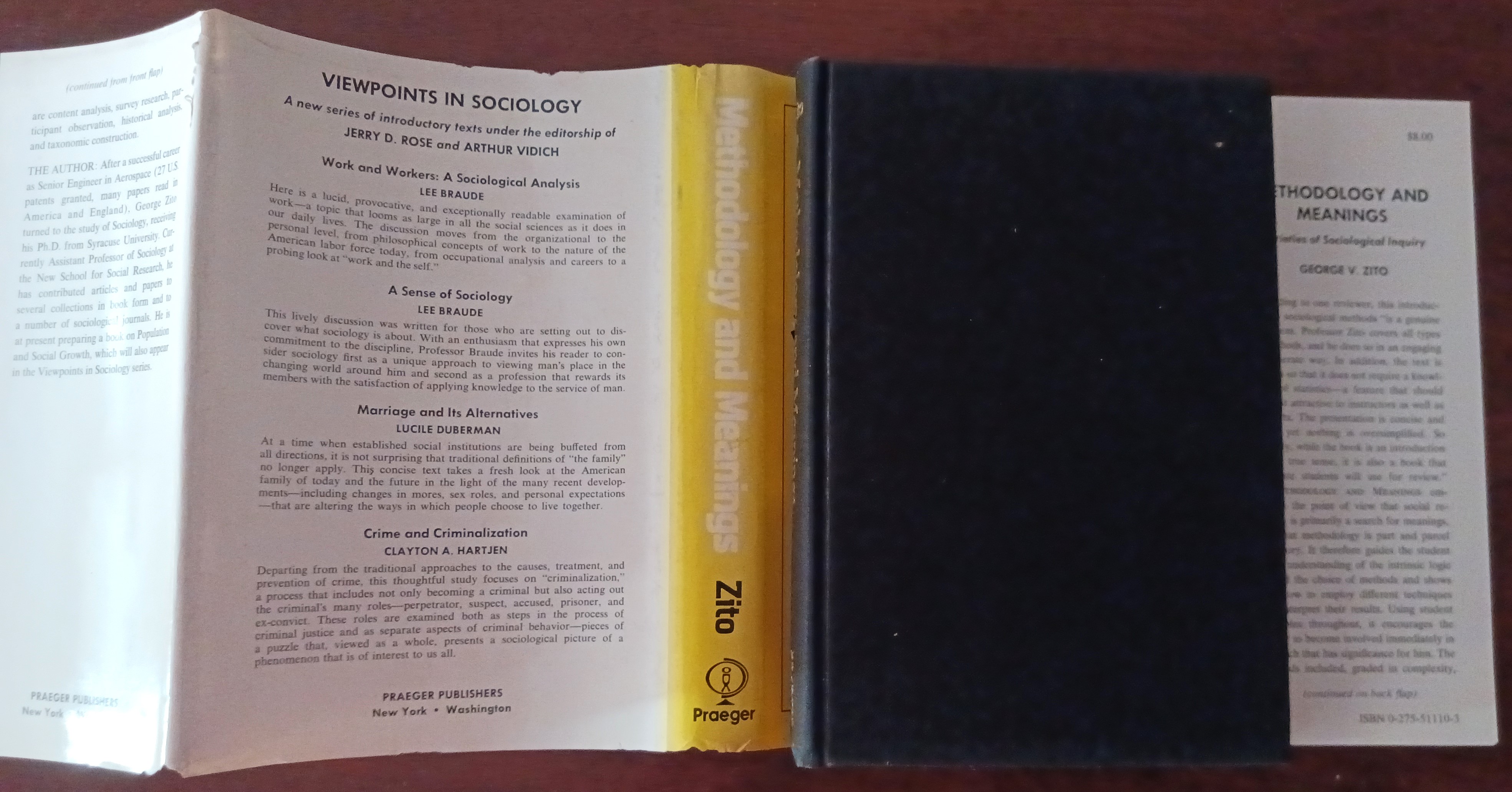 Methodology and Meanings: Varieties of Sociological Inquiry (Viewpoints ...