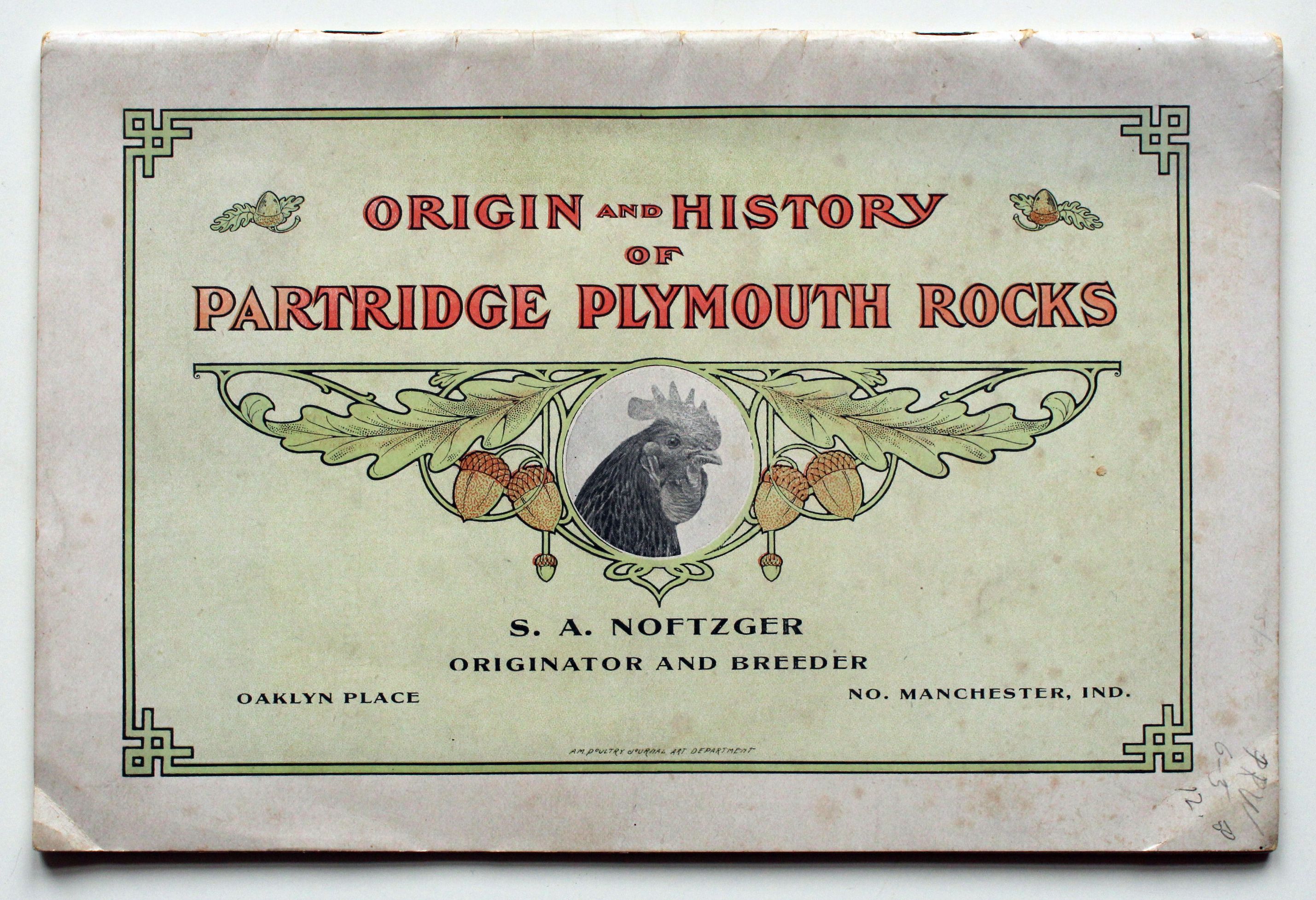 Origin and History of Partridge Plymouth Rocks. von Noftzger, S.A.: Gut ...