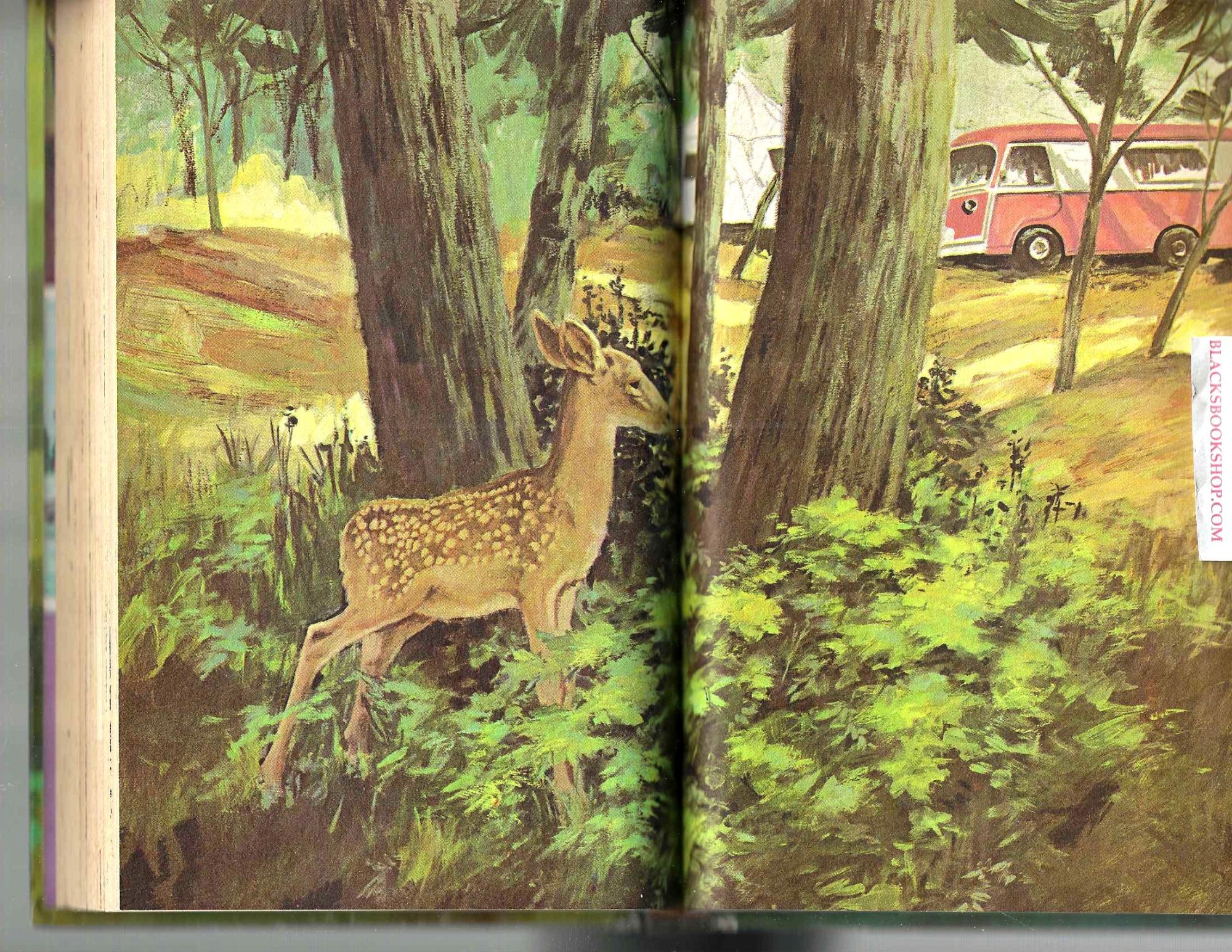 Animal Babies Wild and Free (A Whitman Tween-age Book) de Bond, Gladys ...