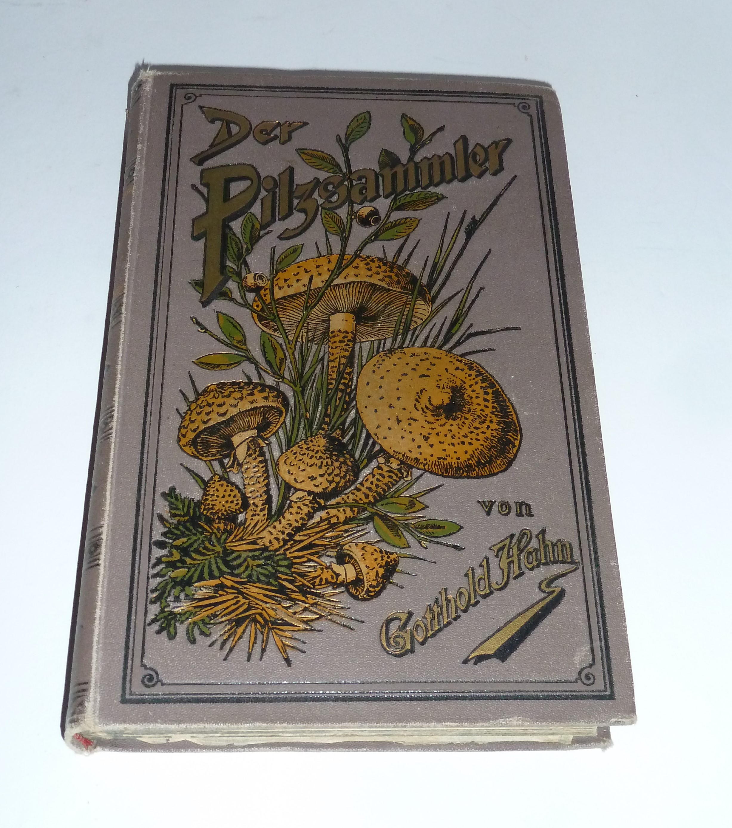 Der Pilz-Sammler oder Anleitung zur Kenntnis der wichtigsten Pilze ...