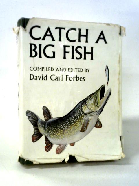 Catch A Big Fish by David Carl Forbes: Good (1967) | World of Rare Books