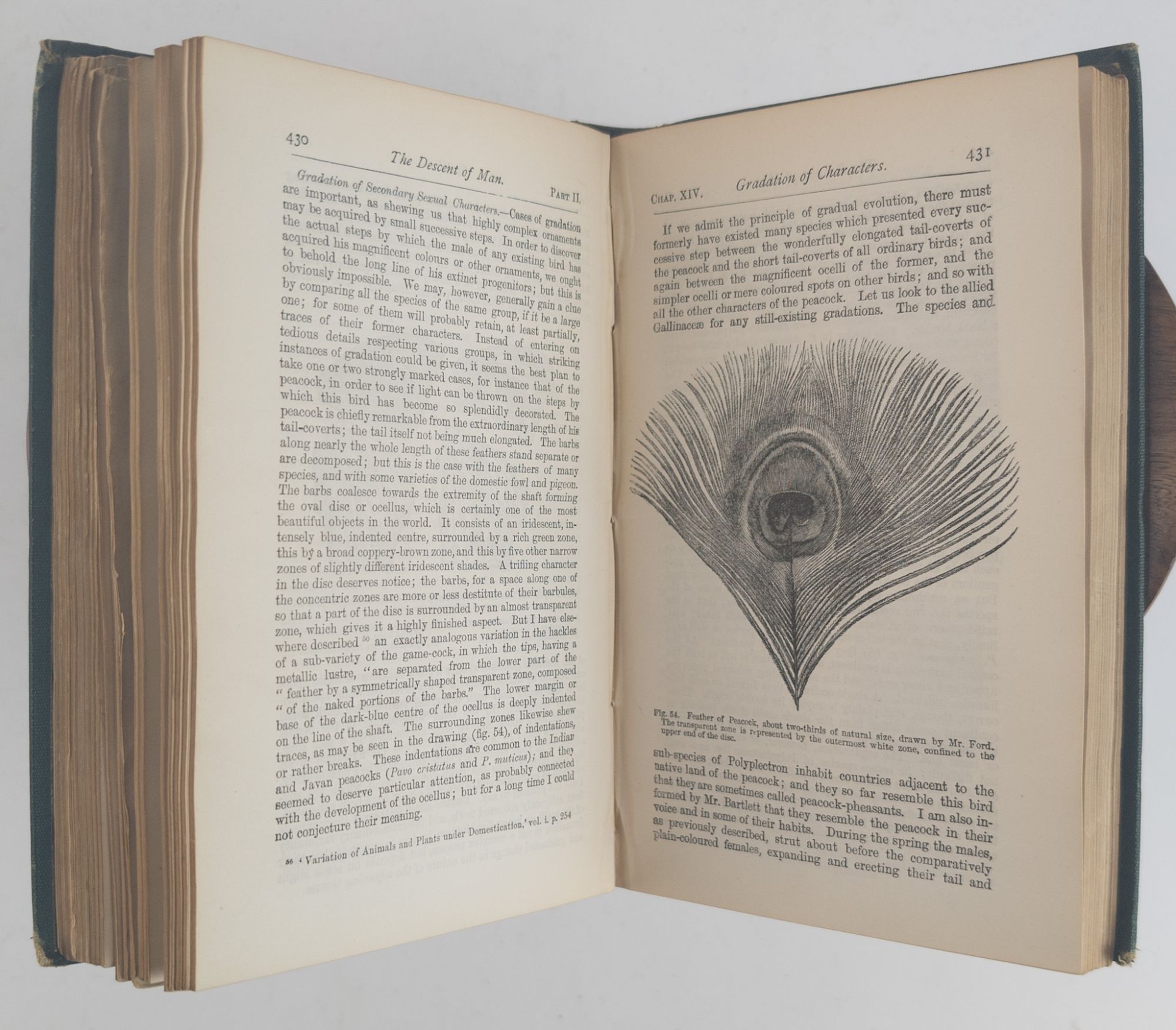 The Descent Of Man And Selection In Relation To Sex By Darwin Charles Hardcover 1879 Second