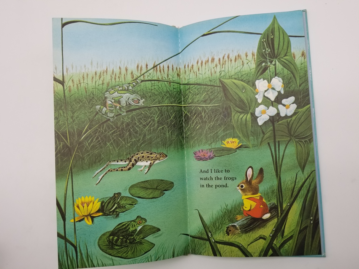I AM A BUNNY by Ole Risom; Richard Scarry (Illustrator): Very Good+ ...