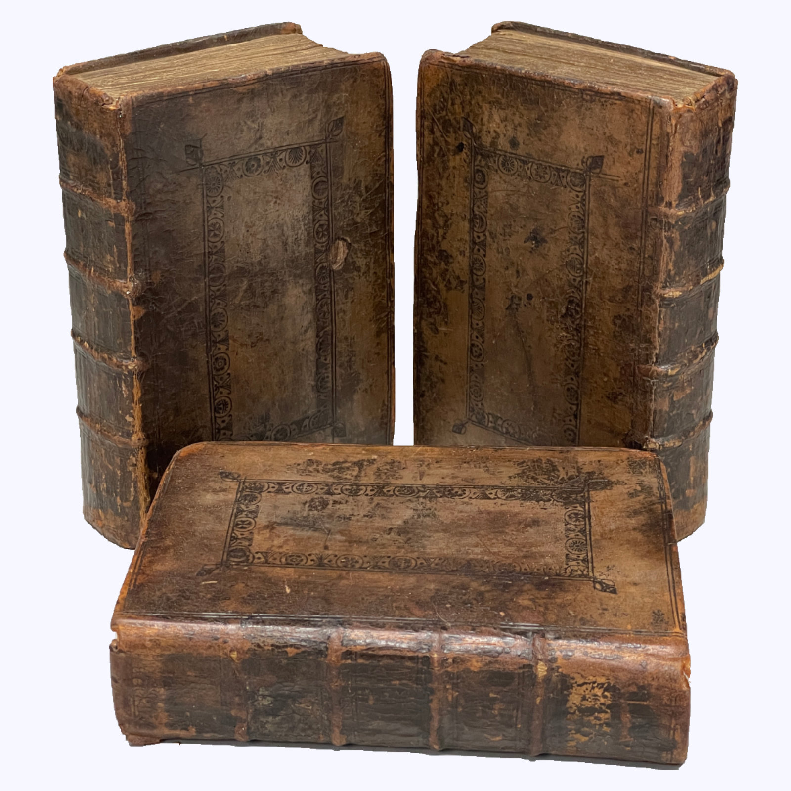 [Interleaved Bible] The Holy Bible: Containing the Old Testament and ...